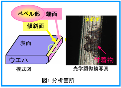 MST｜Siウエハ ベベル部の汚染評価(C0077)